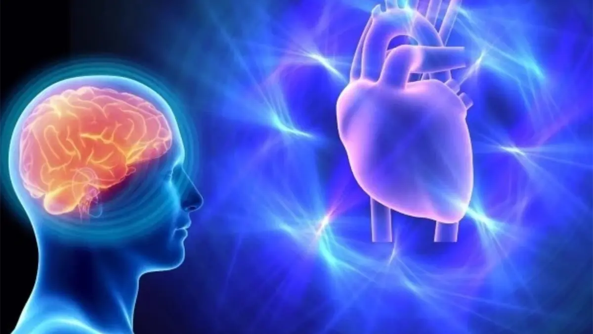 Vínculo cerebro y corazón impacta la salud | Noticias SIN