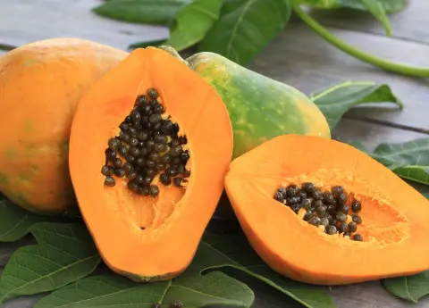 ¿Para qué sirve la lechosa y cuáles son sus beneficios? | Noticias SIN