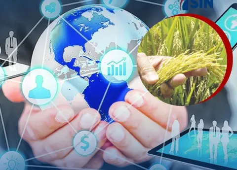 De cultivo de arroz a tecnología: el sorprendente salto de Inprosol en ...